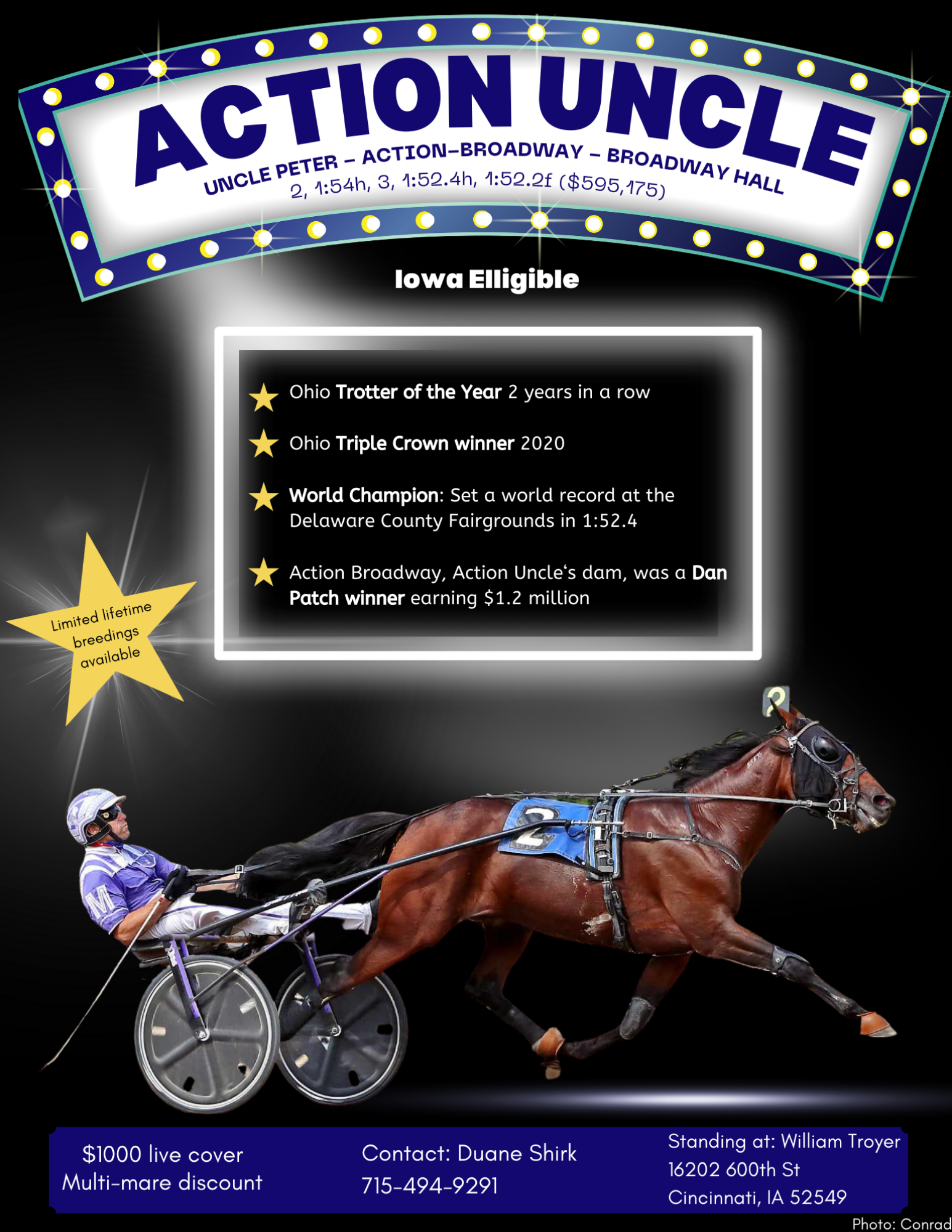 Products | Standing Stallions